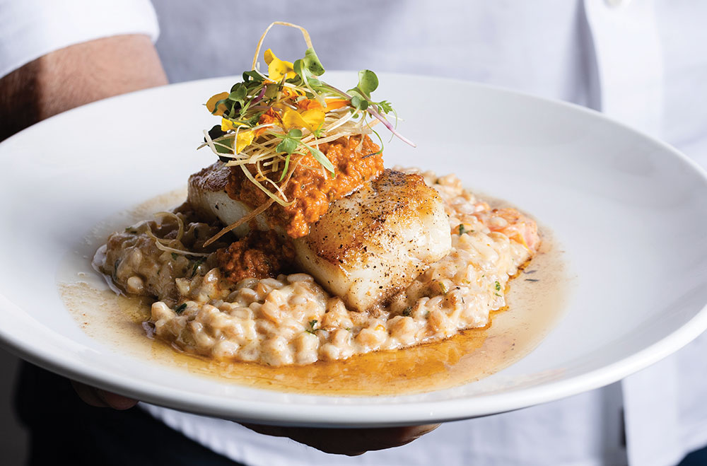 Restaurant Review: Local and Company Food + Drink